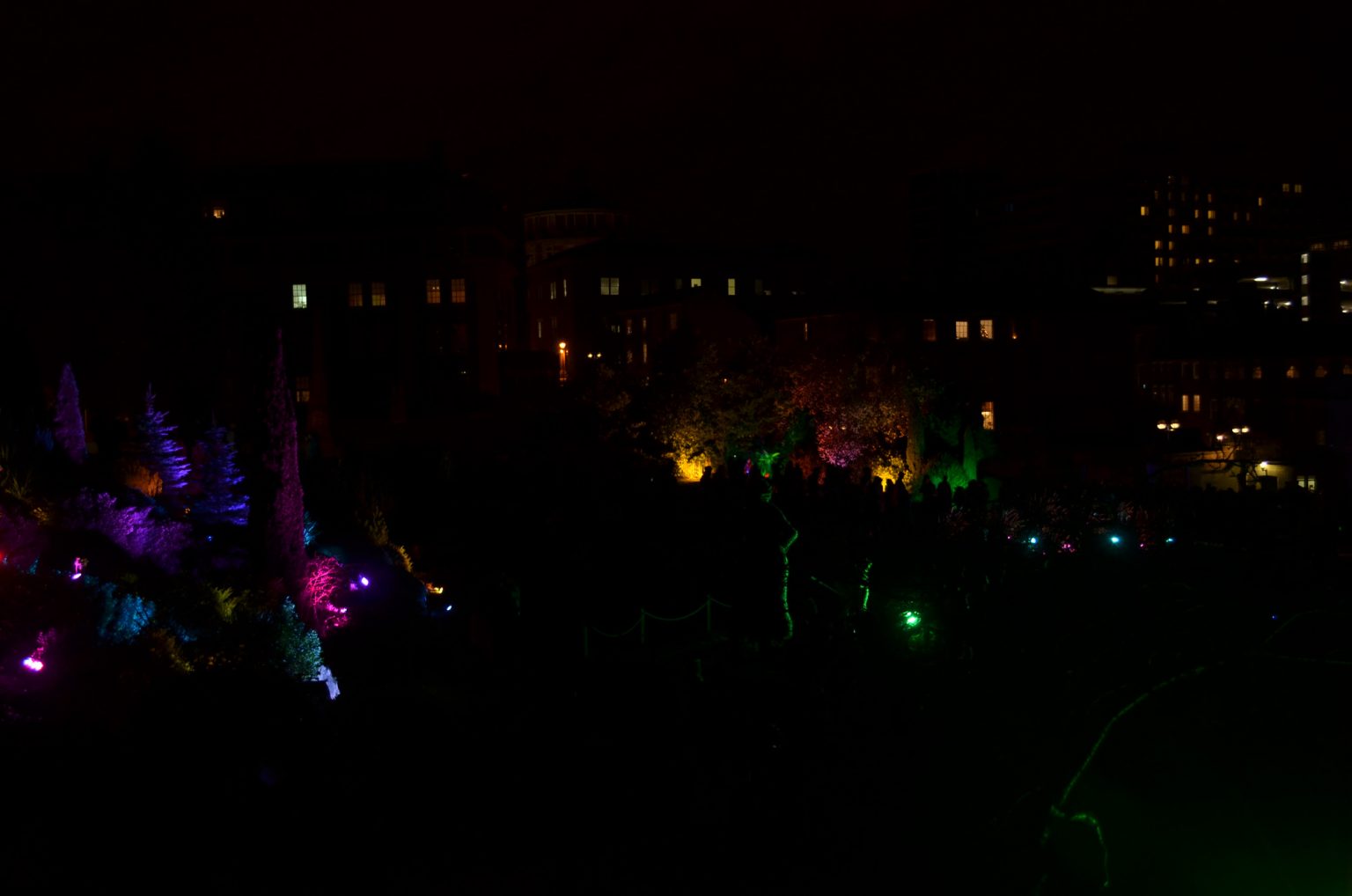 Light Night | Nottingham - Look With New Eyes