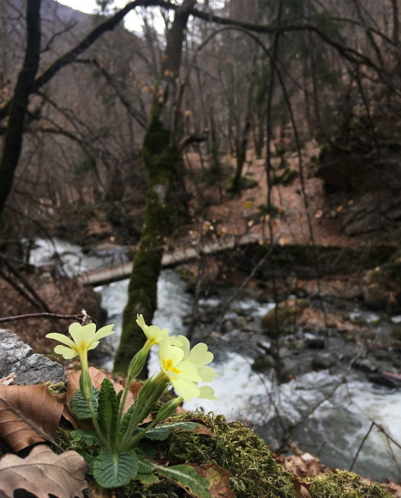 A winter season in the French Alps: March and April - Look With New Eyes