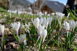 A winter season in the French Alps: March and April - Look With New Eyes