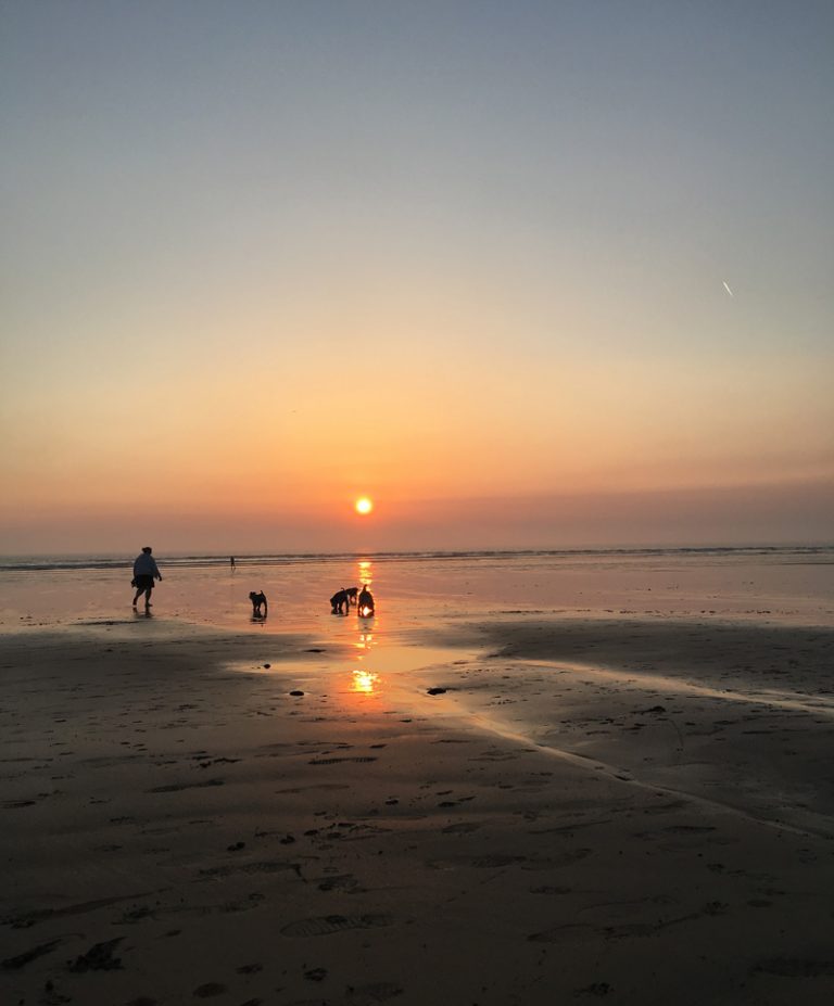 A summer in North Devon: my 10 favourite places • Look With New Eyes