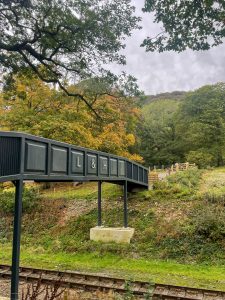 Easy Walks in the Lake District: Newby Bridge to Lakeside along the ...