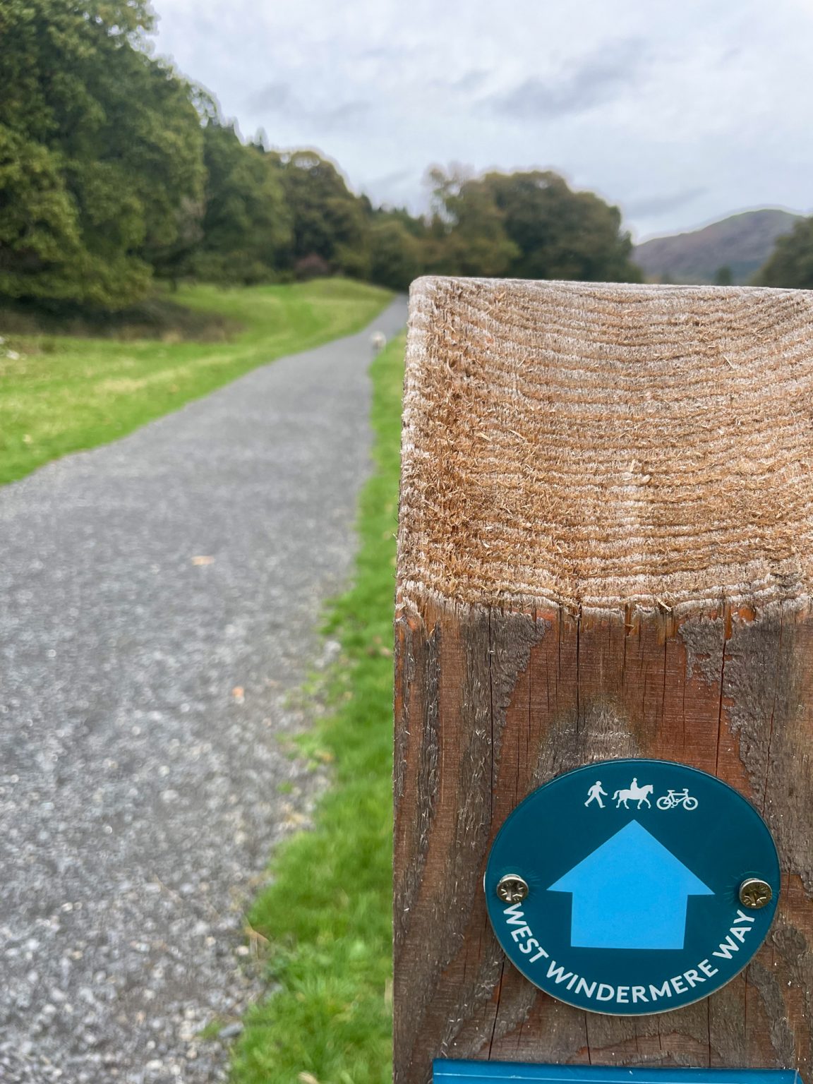 Easy Walks in the Lake District: Newby Bridge to Lakeside along the ...