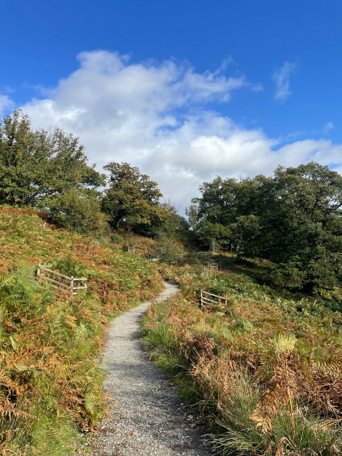 10 things to do in Rydal in the heart of the Lake District - Look With ...