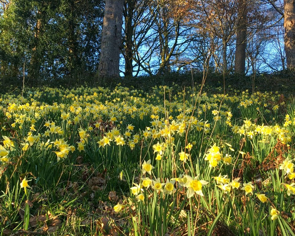 5 things to do in the Lake District in spring - Look With New Eyes
